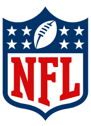 NFL Flags In Stock with Free Shipping Football Banners