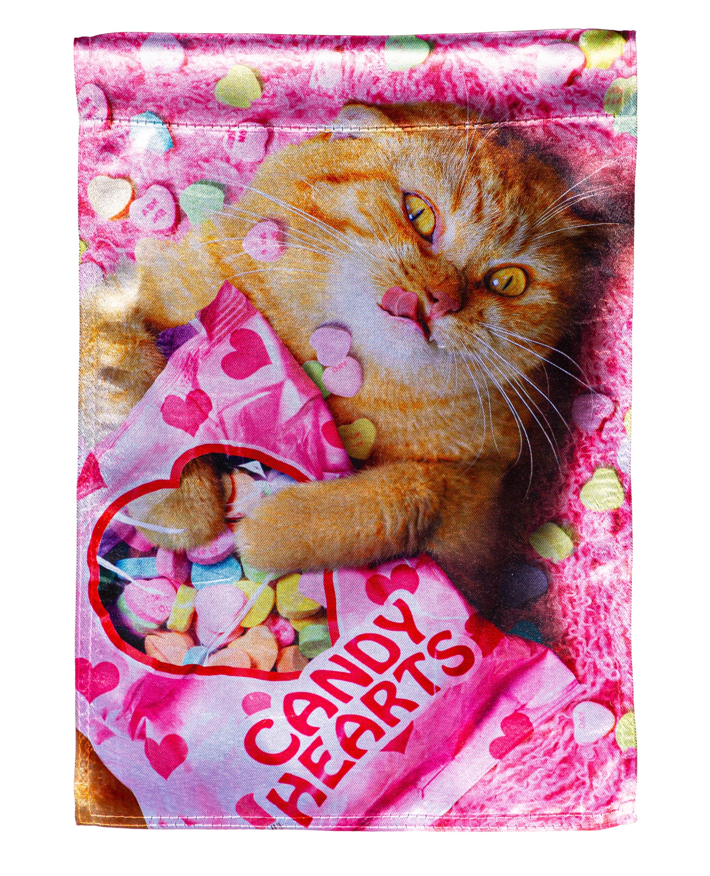 Cat With Candy Heart Valentine Garden Flag 2 Sided