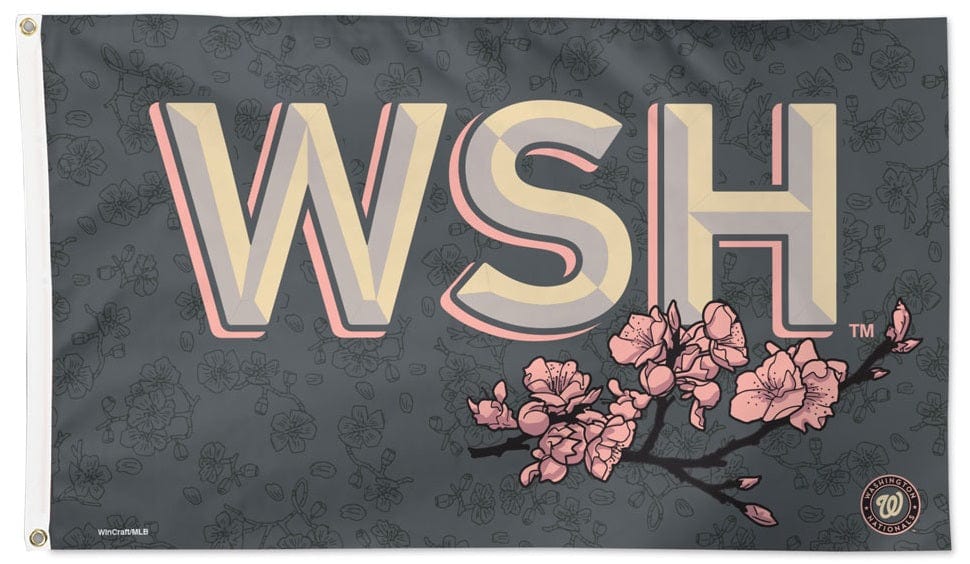 Washington Nationals Flag 3x5 City Connect WSH MLB